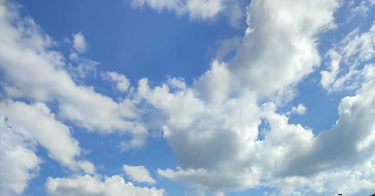 Toño Casado - Religión Digital - Pag. 5