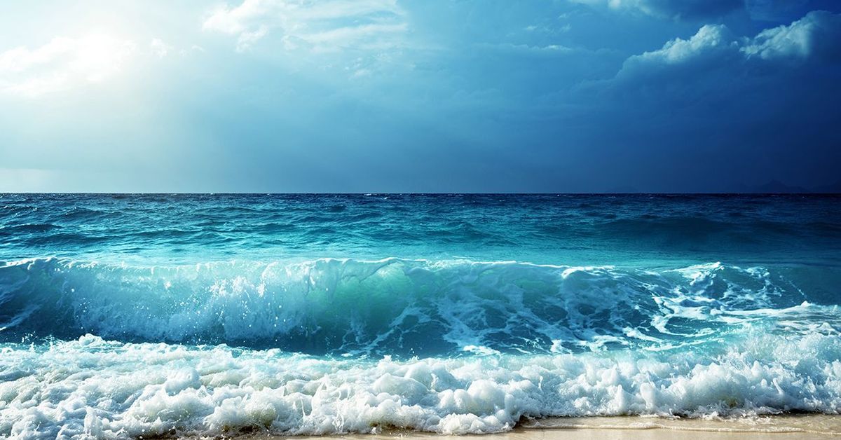 Ola de tu mar
