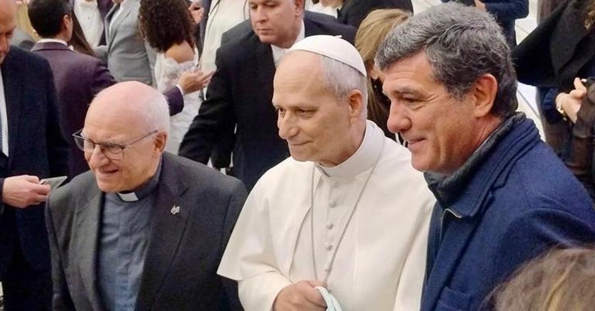 "Una experiencia bárbara": León XIV recibe a un grupo de 70 cardiólogos ...