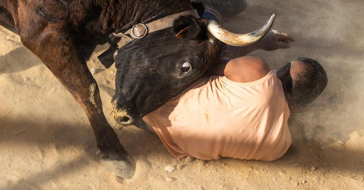 Los toros: Una cosa es la cultura y otra la tortura